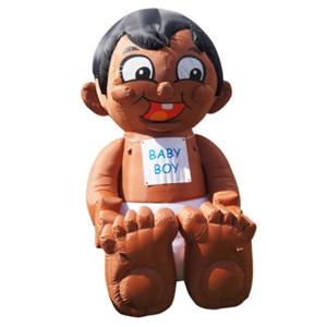 Geboorte pop of ooievaar huren!